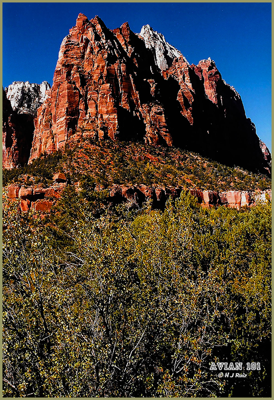 Special Places # 125 | H.J. Ruiz - Avian101